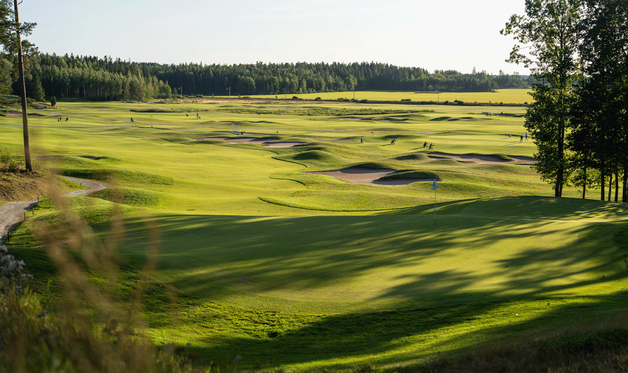 Spela golf till halv geenfee med Golfamore!